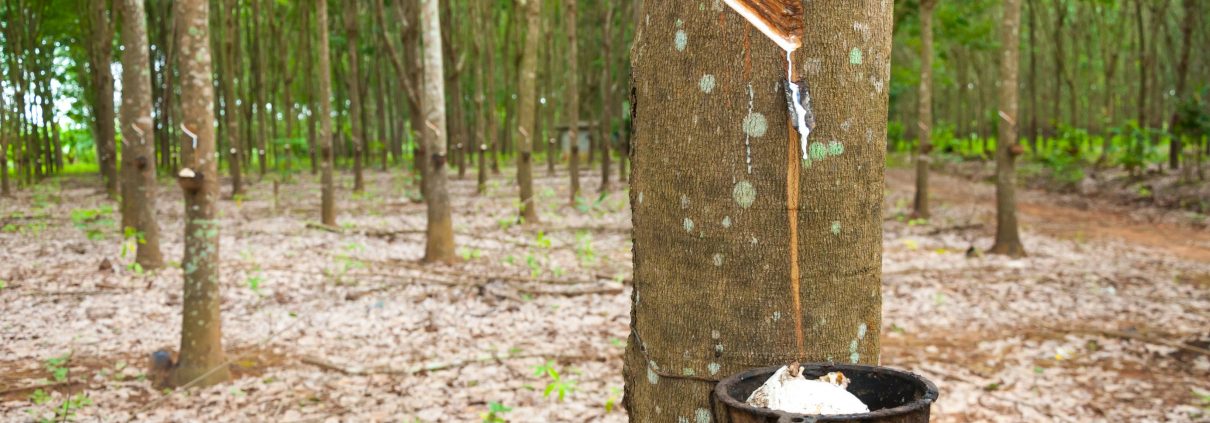 KARET ALAM DAN KARET SINTETIS: PERAN ESENSIAL DALAM BERBAGAI APLIKASI ...